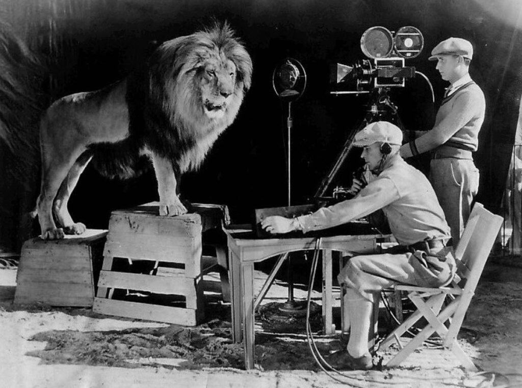 The MGM Lion - A Roar of Truth and Myth - The Blond Post