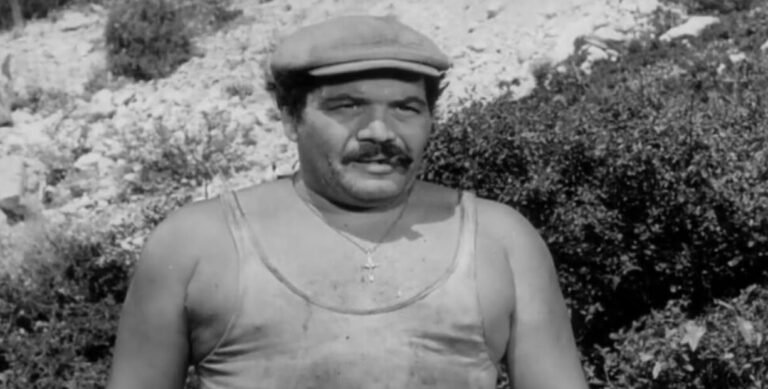 The Origin of Super Mario - A Tribute to Mario Segale - The Blond Post